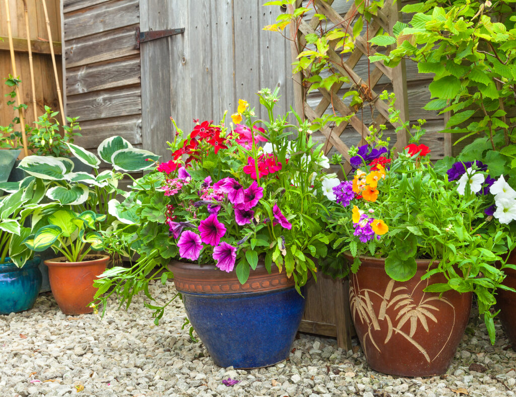 Landscaping Maintenance Plans | Gerzeny Landscape Services, Venice FL
